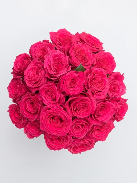 phpgTt38W-63fb8c741c23f.webp phpgTt38W-63fb8c741c23f.webp