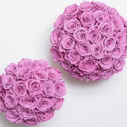 Preserved & Forever Roses | Same or Next Day Delivery