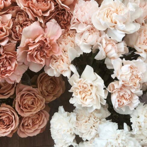 Flowers for Libra: Symbols, Types and Bouquet Guide