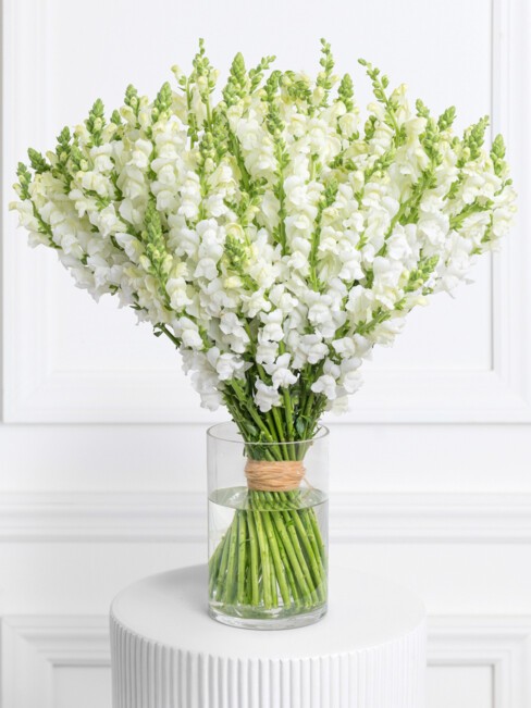 NYC Same Day Flower Delivery - Local New York Florist Shop