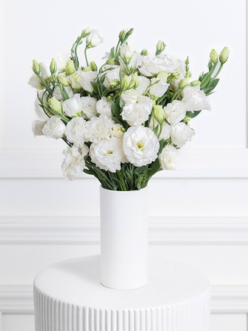 Miami Same Day Flower Delivery - Local Miami Florist Shop