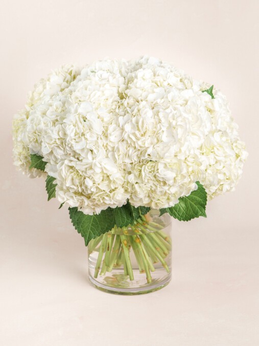 White Flower Bouquets – Elegant & Fresh