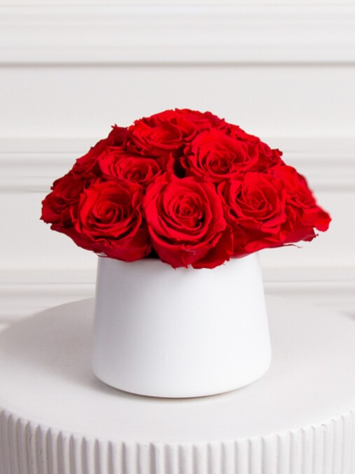 Preserved & Forever Roses | Same or Next Day Delivery