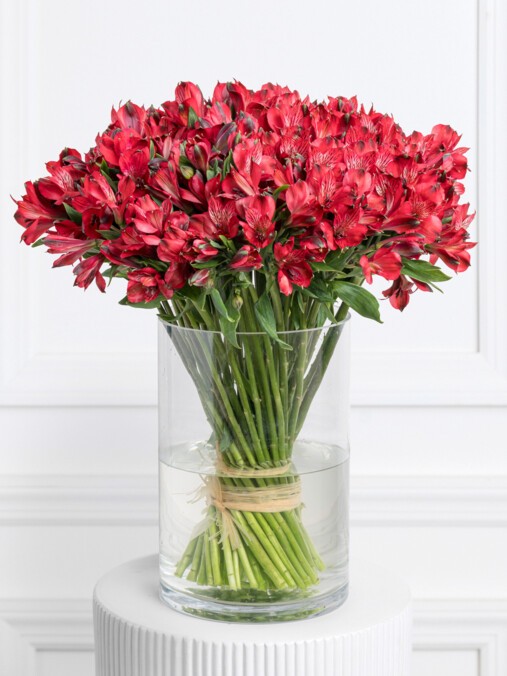 Flowers for Aries: Symbols, Types and Bouquet Guide