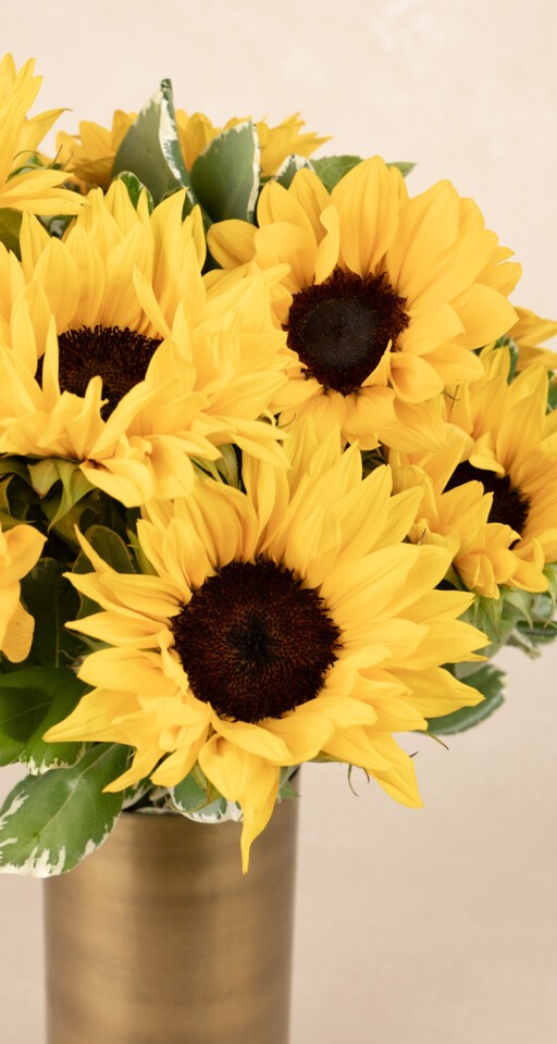 Helios Bouquet | Sunflowers + Greenery | Ode à la Rose