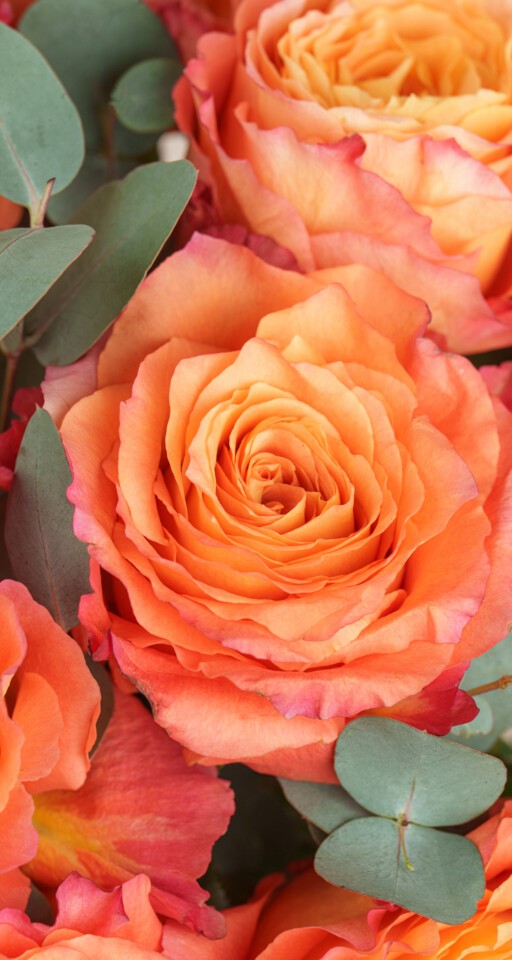 Soleil - 12 Free Spirit Roses with Eucalyptus