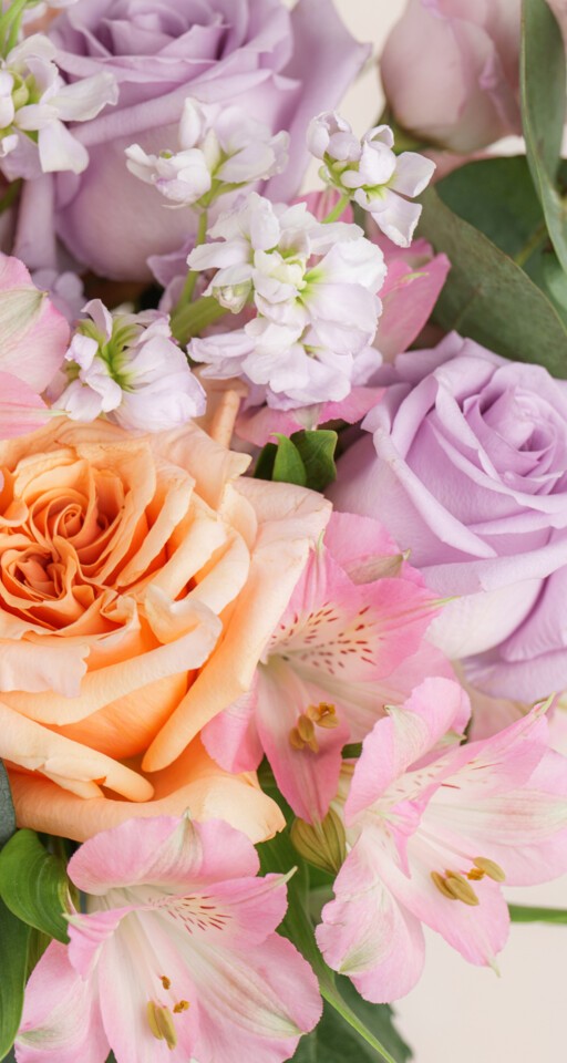 Bernadette 14 Stems - Sweet and Sophisticated Floral Gift