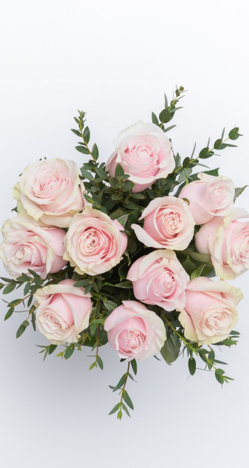 Brigitte - 12 Pink Rose Bouquet Delivery