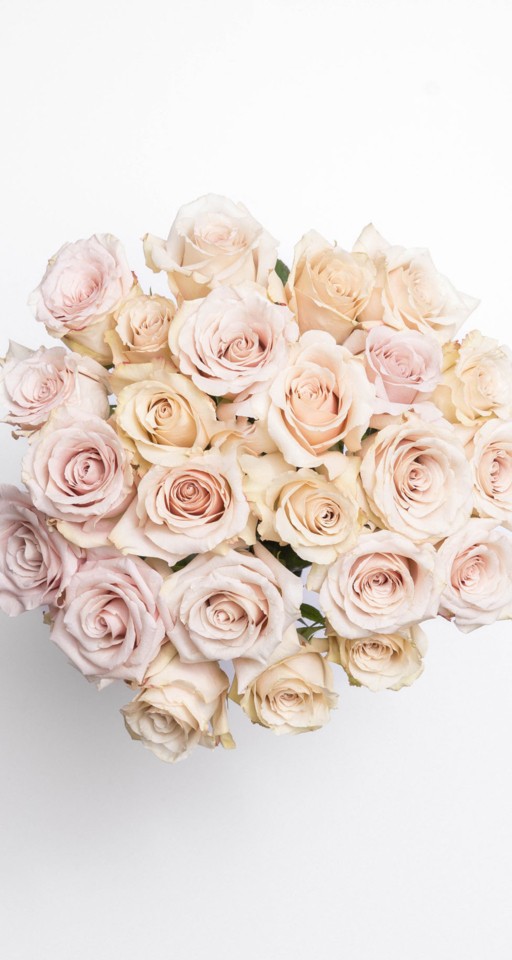 24 Quicksand Rose Bouquet Delivery | 2 Dozen Quicksand Roses | Ode à la ...