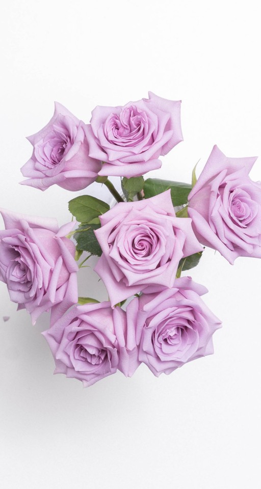 Petite Adrienne - Elegant Bouquet with 7 Purple Roses