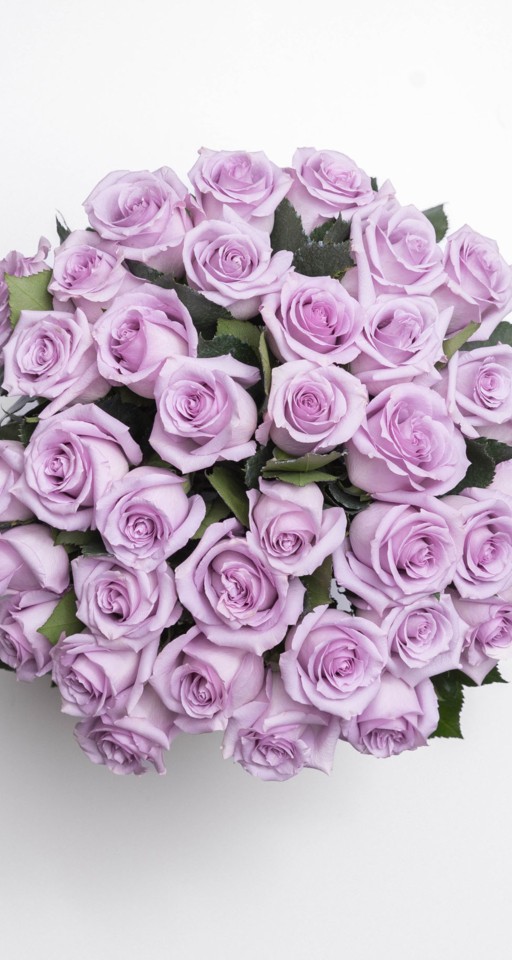 36 Purple Rose Bouquet Delivery | 3 Dozen Purple Roses | Ode à la Rose