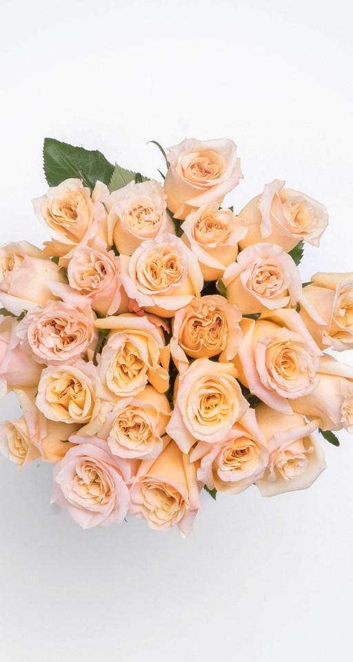 24 Peach Rose Bouquet Delivery | 2 Dozen Peach Roses | Ode à la Rose