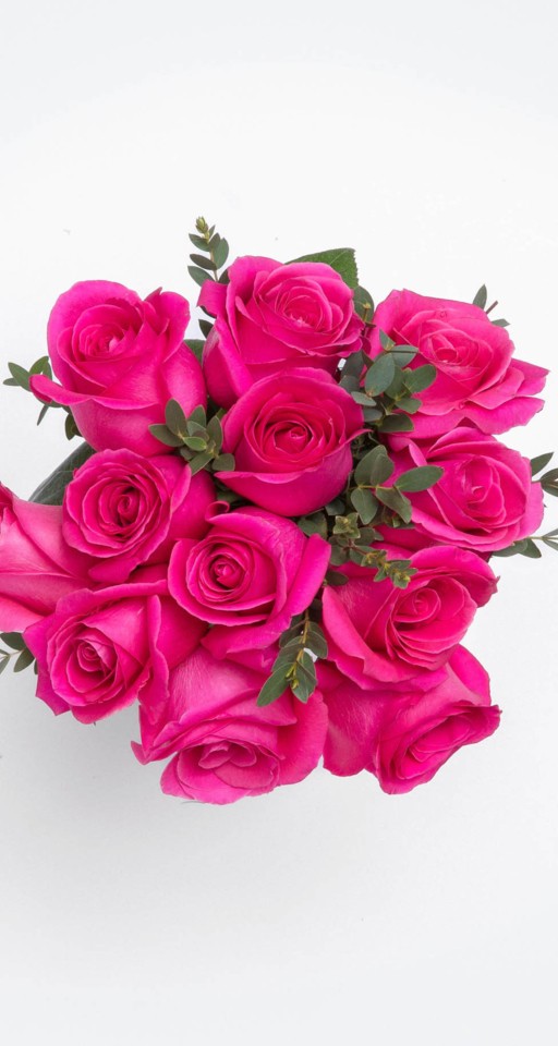 The Tilda Bouquet - 12 Stunning Pink Floyd Roses