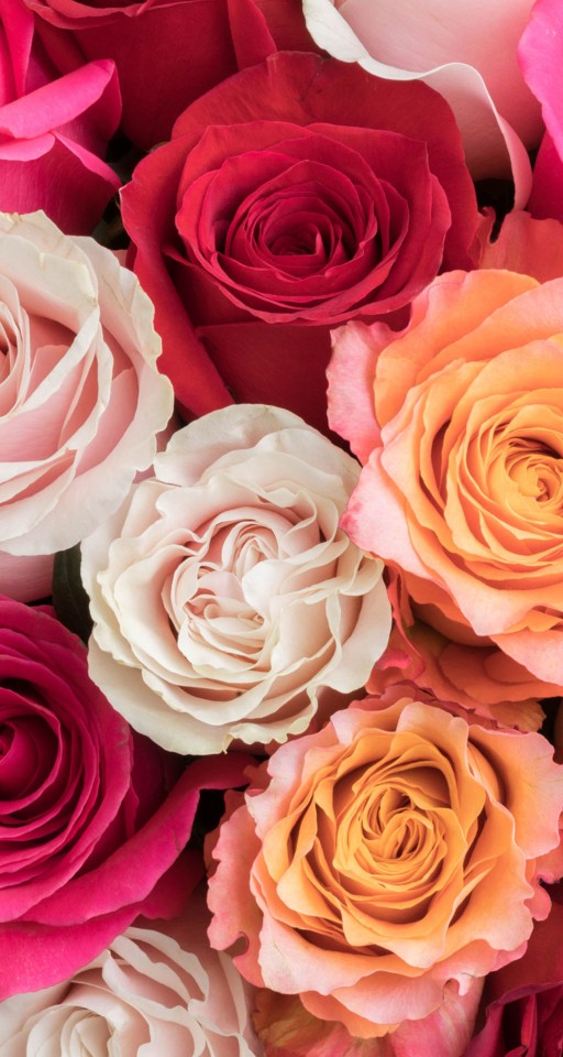 The Aline Bouquet (Medium) | 24 Red, Pink, Gold, Hot Pink Roses | Ode à ...