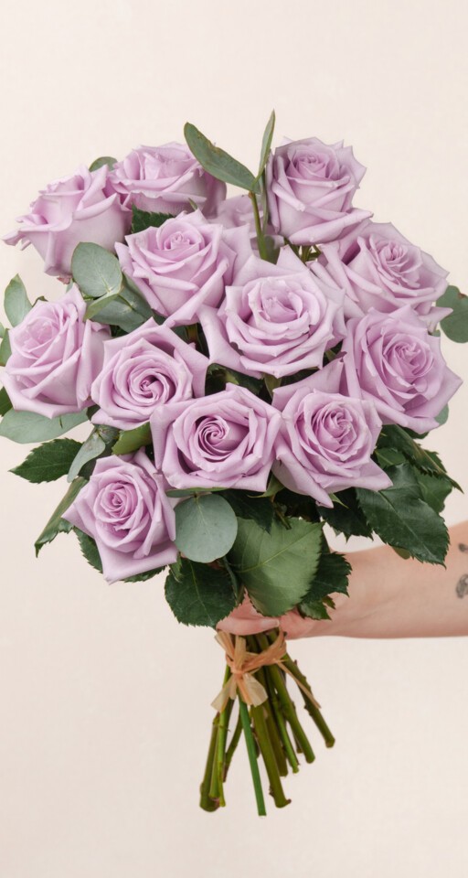 Adrienne - 12 Ocean Song Roses with Eucalyptus