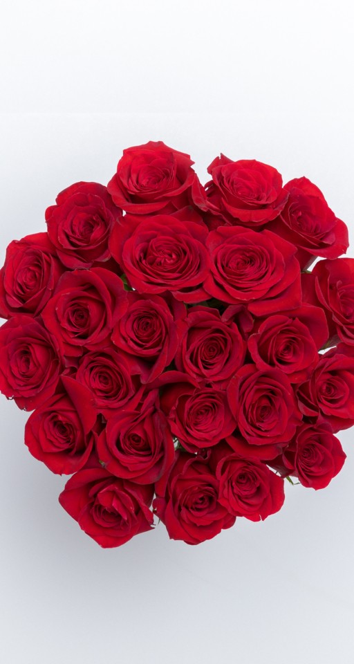24 Red Rose Bouquet Delivery | 2 Dozen Red Roses | Ode à la Rose