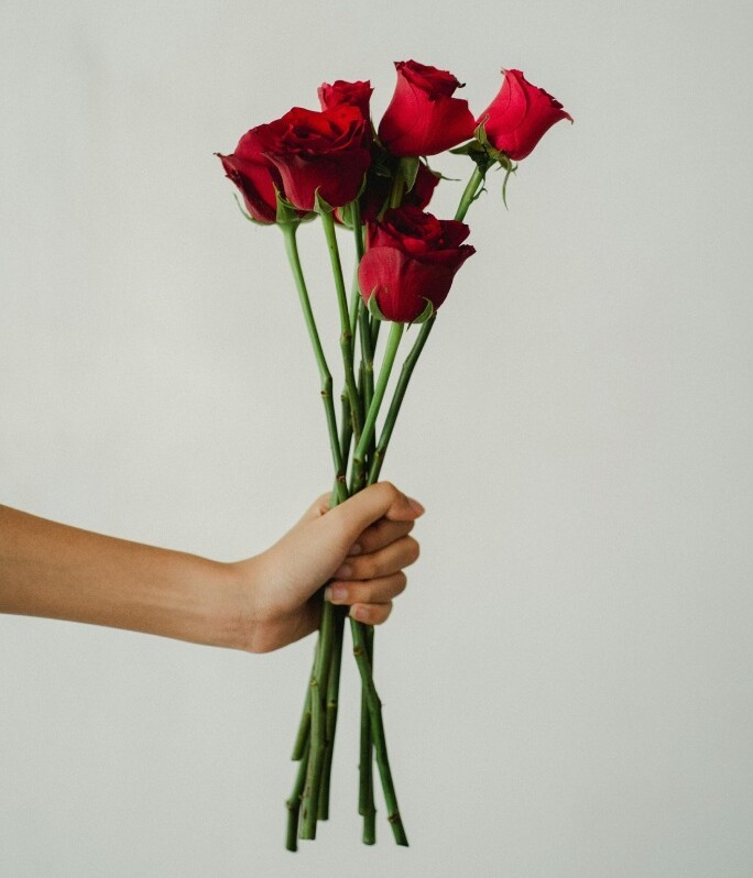 Flowers for Scorpio: Symbols, Types and Bouquet Guide