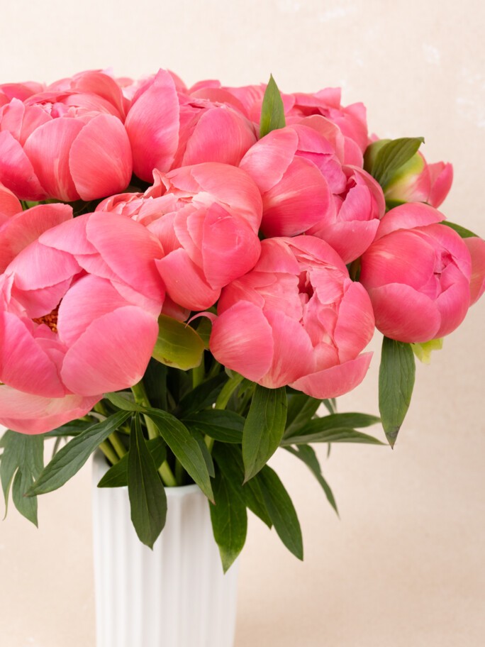 Send a Bouquet of Peonies - Same Day Peony Flower Delivery