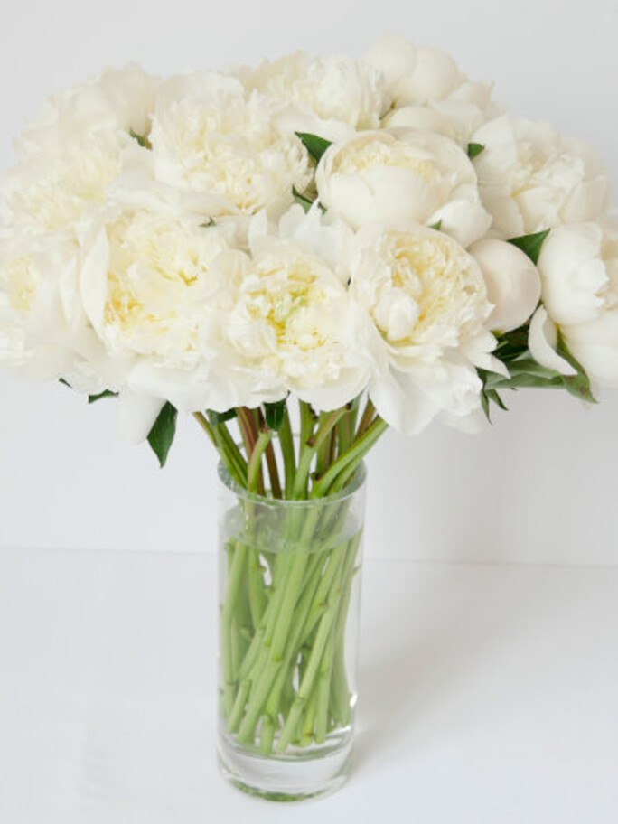 Send a Bouquet of Peonies - Same Day Peony Flower Delivery