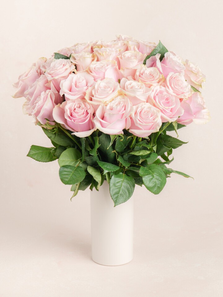 36 Pink Rose Bouquet Delivery | 3 Dozen Pink Roses | Ode à la Rose