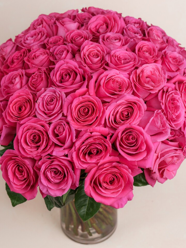 100 Hot Pink Rose Bouquet Delivery | Grand Amour | Ode à la Rose