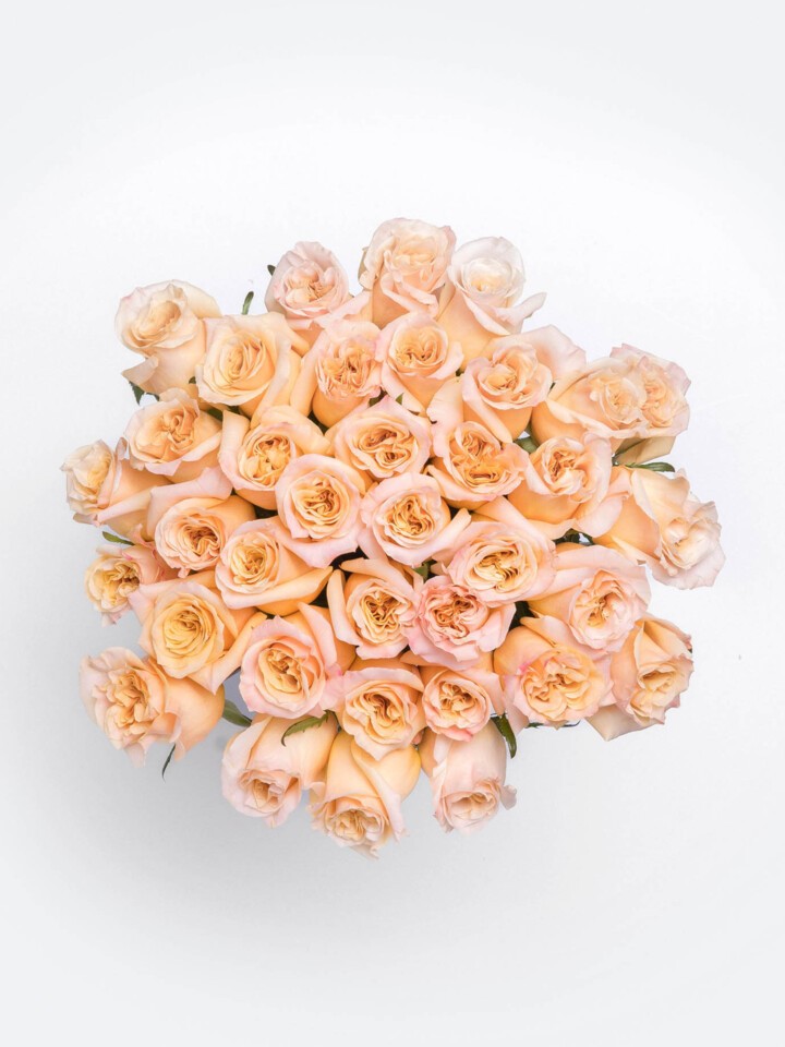 36 Peach Rose Bouquet Delivery | 3 Dozen Peach Roses | Ode à la Rose