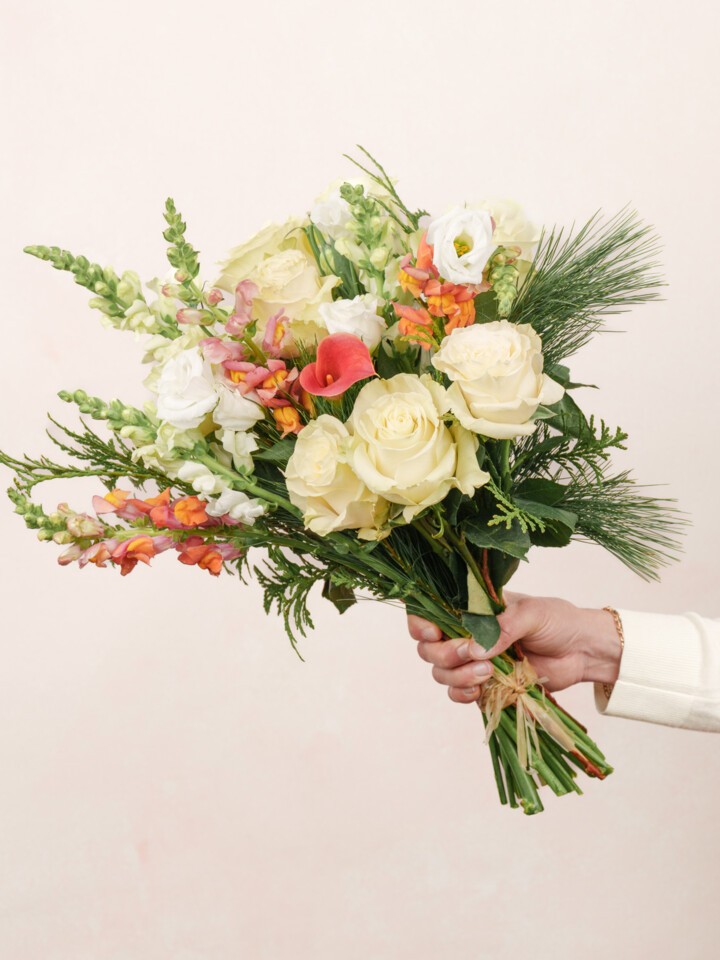 Clementine - 25 Stems in Bright White and Orange Hues
