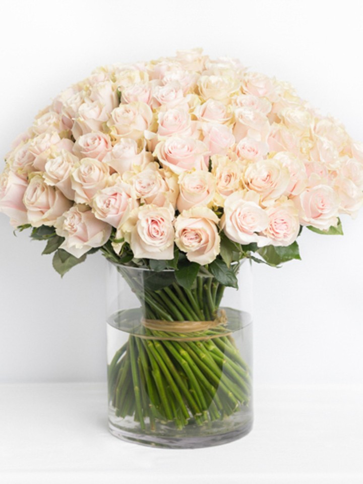 Grand Brigitte | 100 Pink Roses | Ode à la Rose
