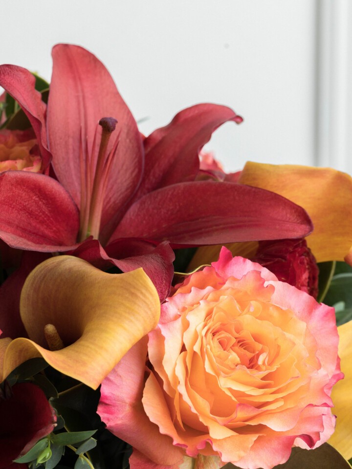 Lara - 25 Stems in a Sultry Red Winter Bouquet