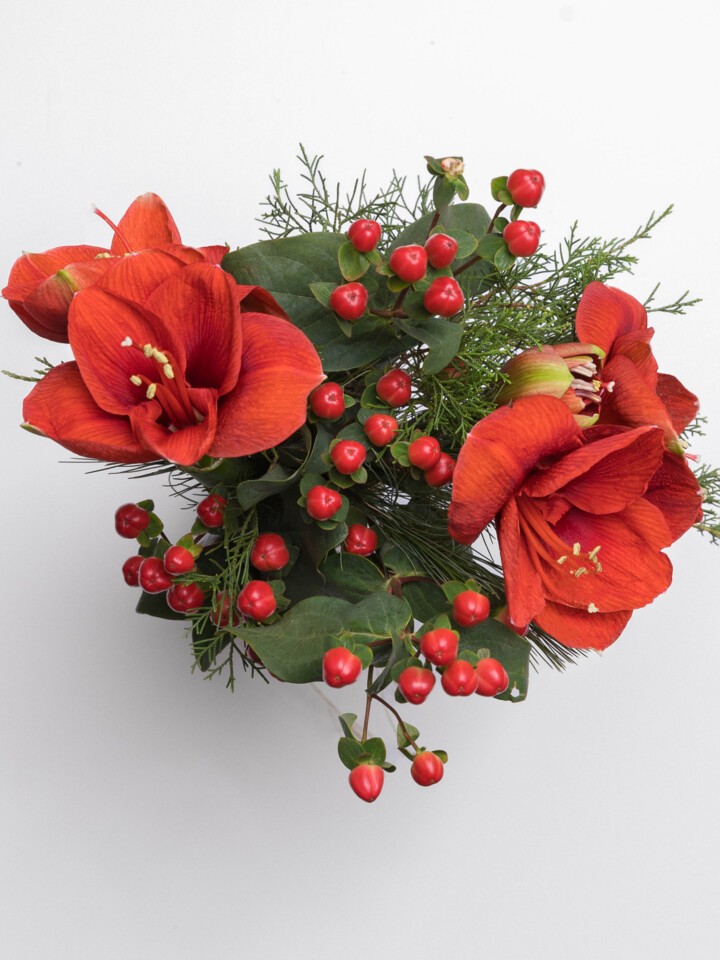Holly - Holiday Amaryllis Bouquet with 10 Stems