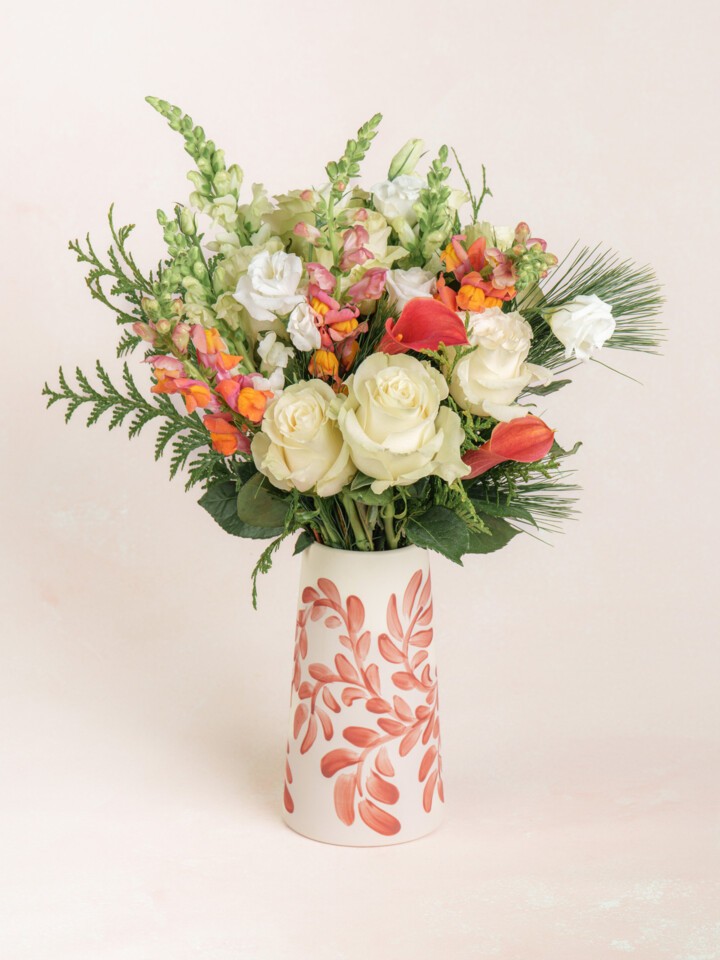 Clementine - 25 Stems in Bright White and Orange Hues