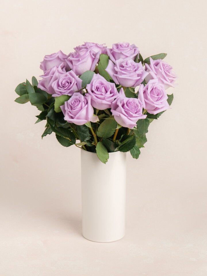 Adrienne - 12 Ocean Song Roses with Eucalyptus