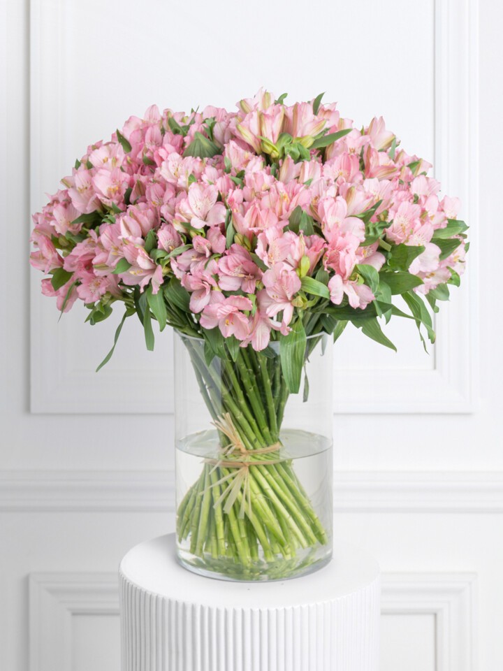 Grand Natalie - 60 Pink Alstroemeria Stems in Glass Vase