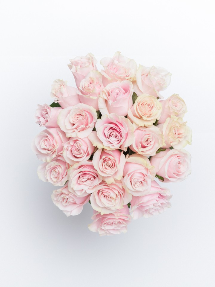 24 Pink Rose Bouquet Delivery | 2 Dozen Pink Roses | Ode à la Rose