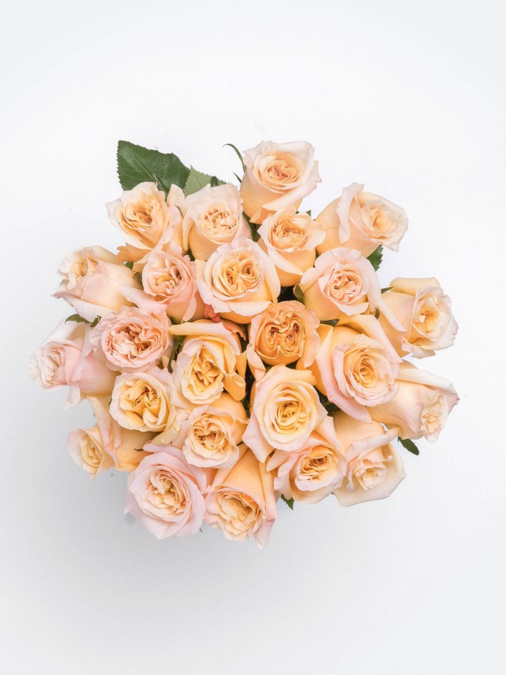 24 Peach Rose Bouquet Delivery | 2 Dozen Peach Roses | Ode à la Rose