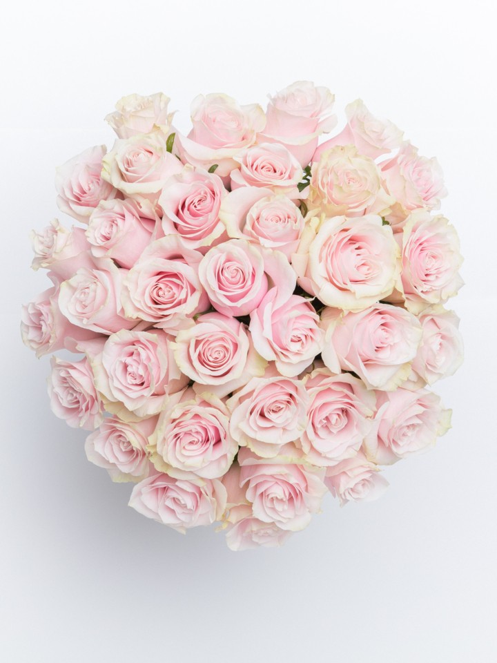 36 Pink Rose Bouquet Delivery | 3 Dozen Pink Roses | Ode à la Rose