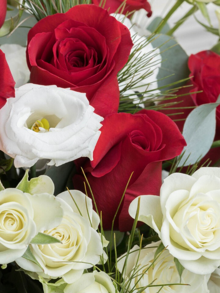 Elizabeth - 18 Stems in a Red and White Bouquet