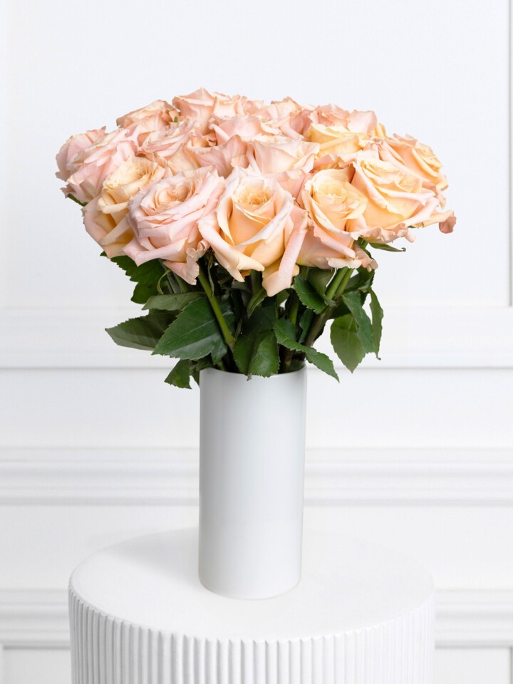24 Peach Rose Bouquet Delivery | 2 Dozen Peach Roses | Ode à la Rose