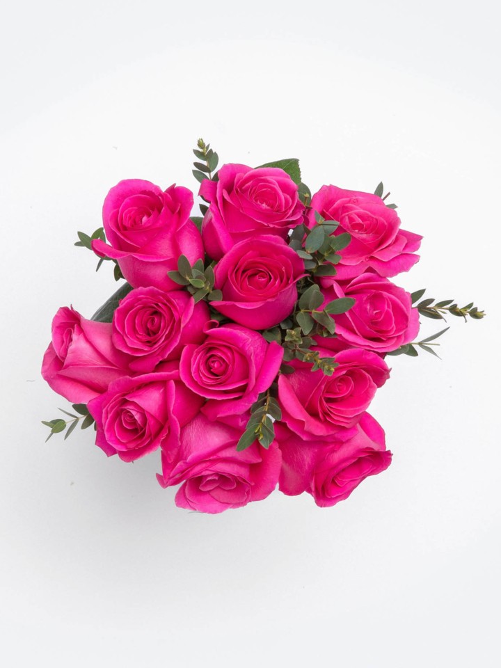 The Tilda Bouquet - 12 Stunning Pink Floyd Roses