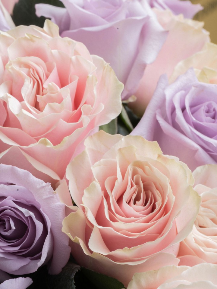 The Manon Bouquet - 12 Light Pink and Purple Roses