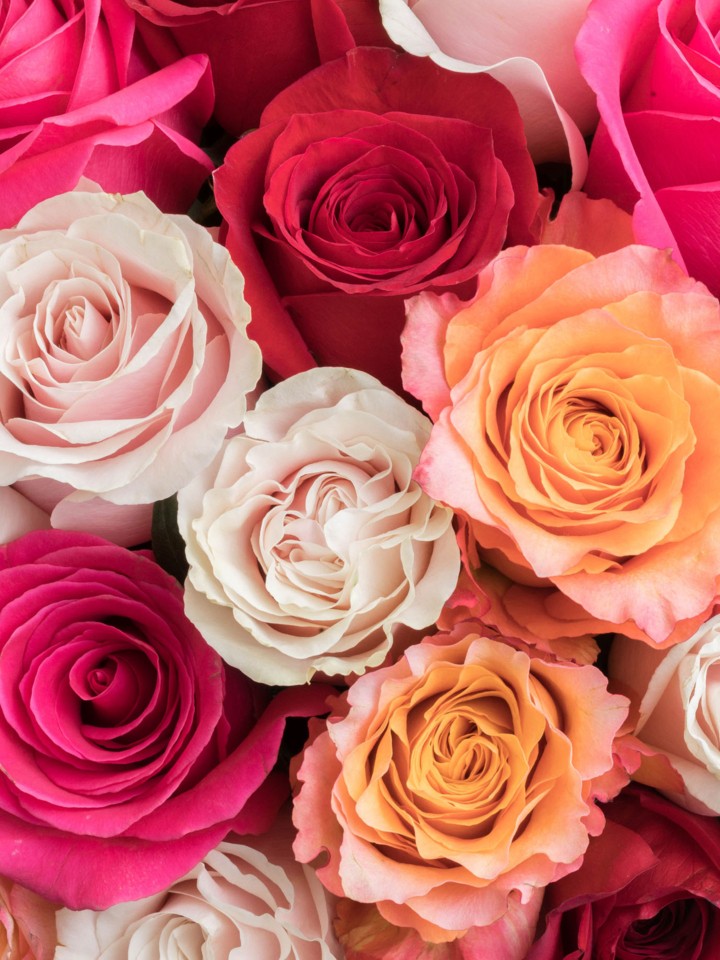 The Aline Bouquet (Medium) | 24 Red, Pink, Gold, Hot Pink Roses | Ode à ...