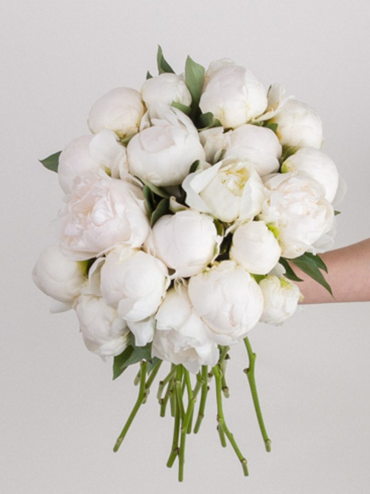 Sabrina 10 Stems - Sweet and Simple Flower Bouquet