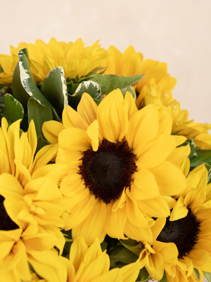 Helios Bouquet | Sunflowers + Greenery | Ode à la Rose