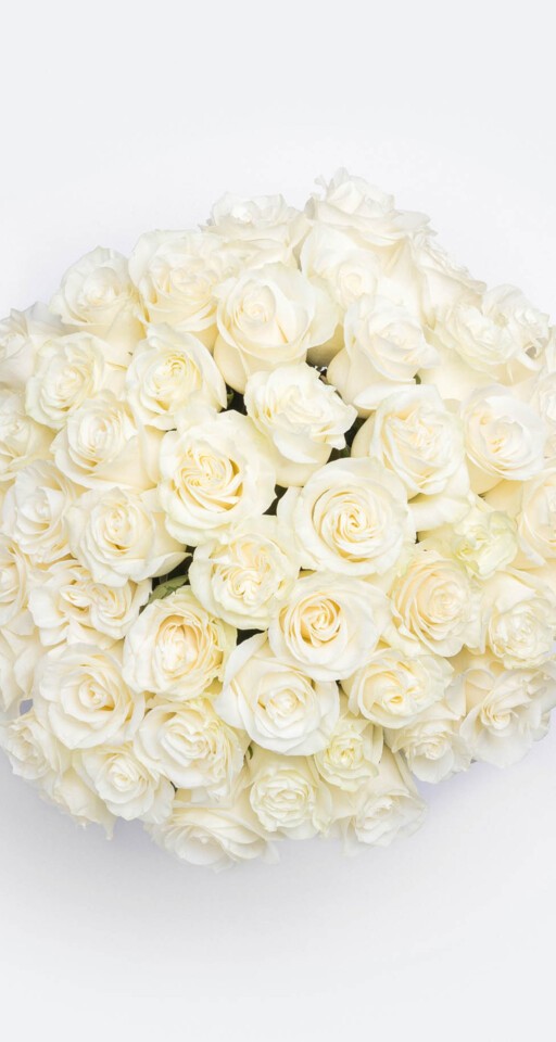 50 White Rose Bouquet Delivery | Grand Amour | Ode à la Rose