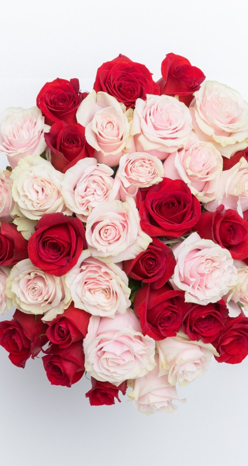 Red and Pink Rose Bouquet | 3 dozen Red & Pink Roses | Ode à la Rose