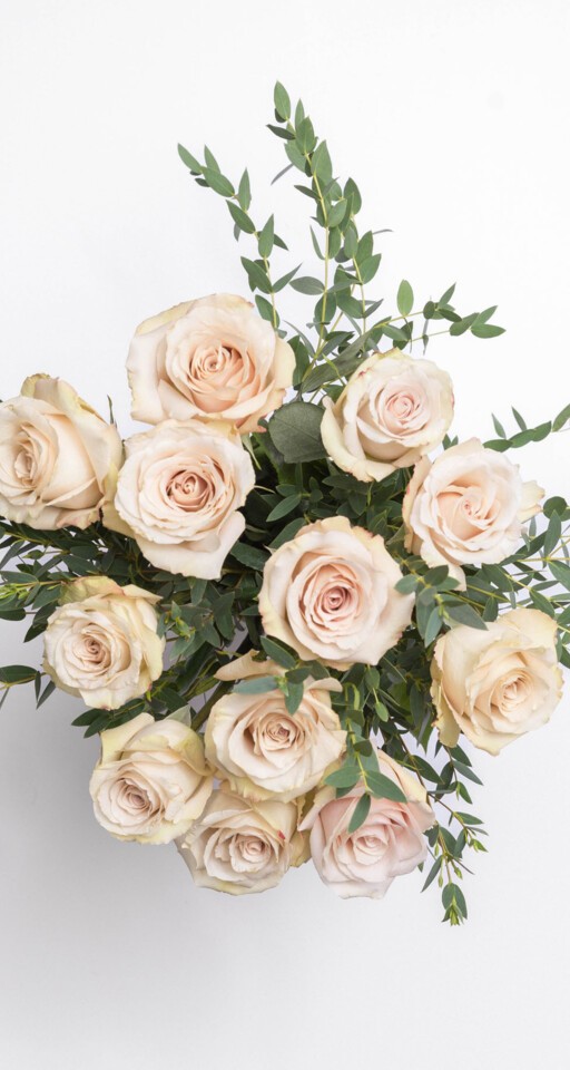 12 Quicksand Rose Bouquet Delivery | 2 Dozen Quicksand Roses | Ode à la ...