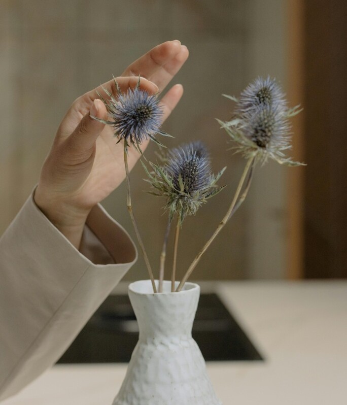 Flowers for Aries: Symbols, Types and Bouquet Guide