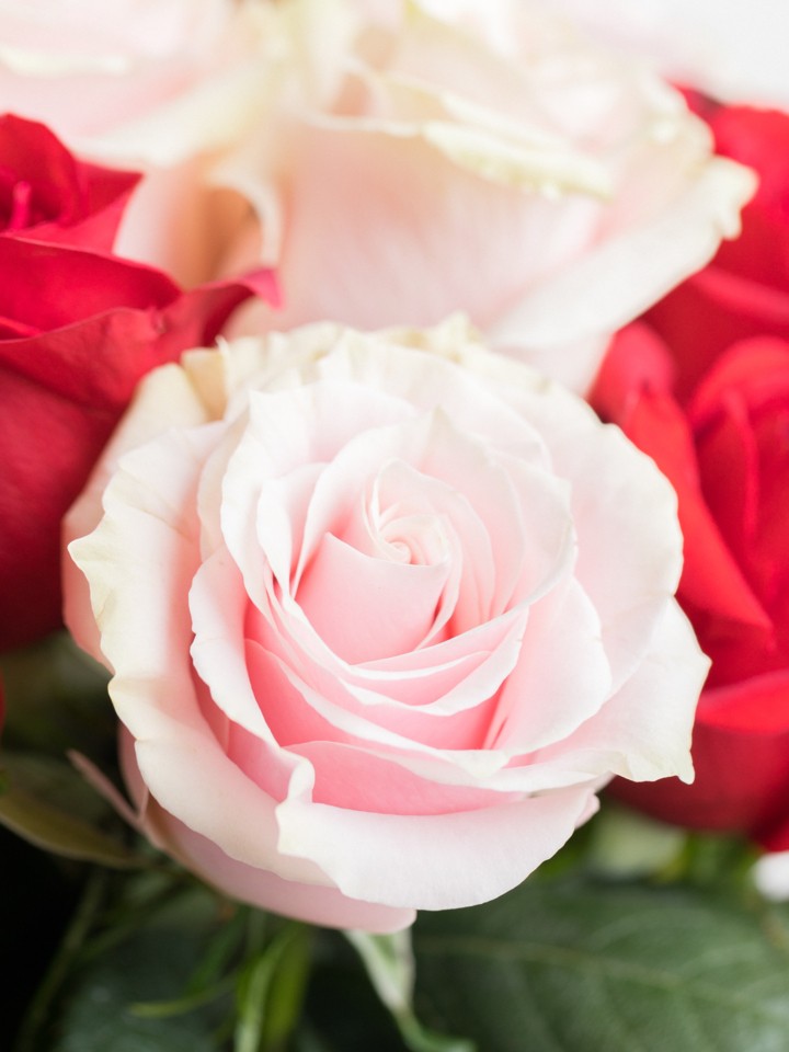 Red and Pink Rose Bouquet | 3 dozen Red & Pink Roses | Ode à la Rose
